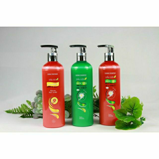 Thai Duong Shampoo 3 600ml Anti-Dandruff Anti-Itch | Shopee Singapore