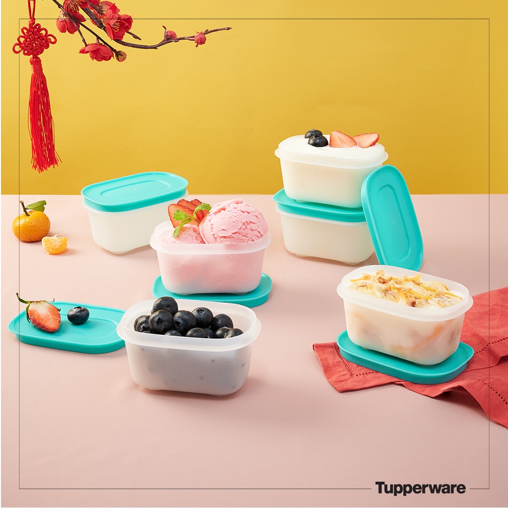 Genuine Mini Freezermate Gen II 170ML TUPPERWARE freezer box | Shopee ...