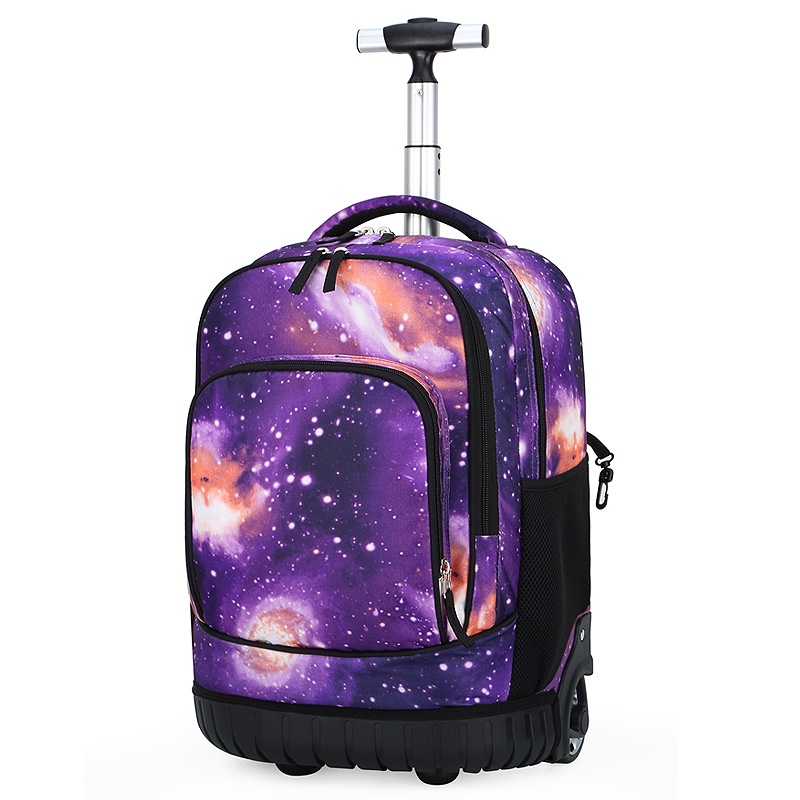 Trolley Backpack 2 Wheel Luggage Bag Trolley School Bag Girl Boy Large ...