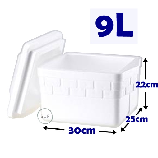 Styrofoam Ice Box (9L) / Cooler Box / Picnic box / Foam Box / Fish Box ...