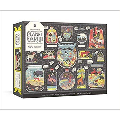 Vondrous Workings of Planet Earth Puzzle : Ecosystems of the World 500 ...