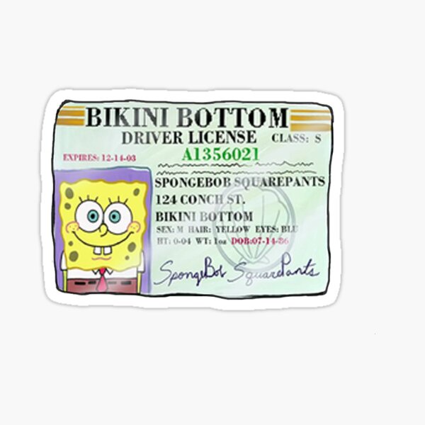 Spongebob Squarepants Driver License Stickers | Shopee Singapore