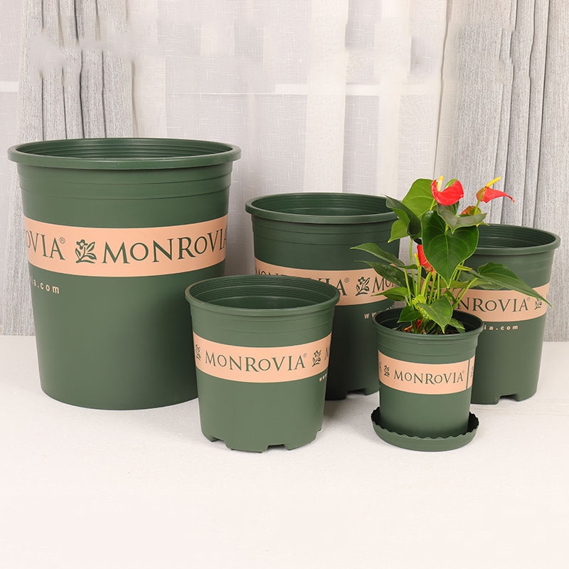 Environmental Protection Gallon Succulent Pot Balcony Green Rose Flower ...