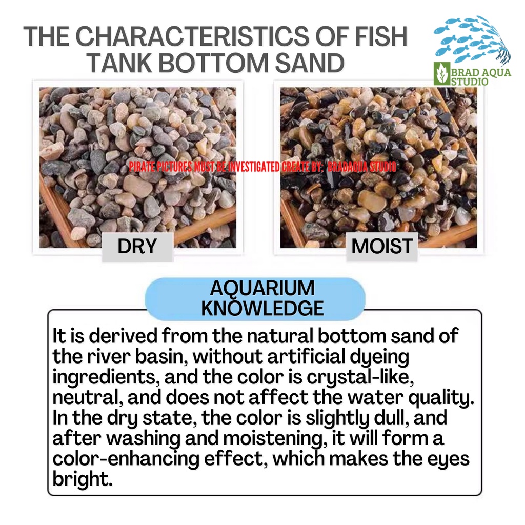 AQUARIUM Cosmetic Natural Sand & Stone 500g Fish Tank Sand Gravel ...