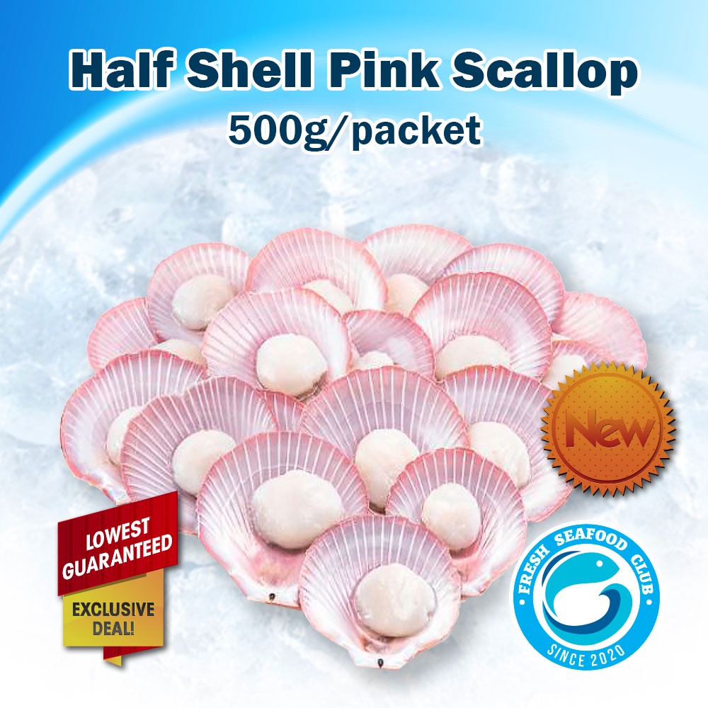 Half Shell Pink Scallop, Gross Weight:500g/packet | Shopee Singapore