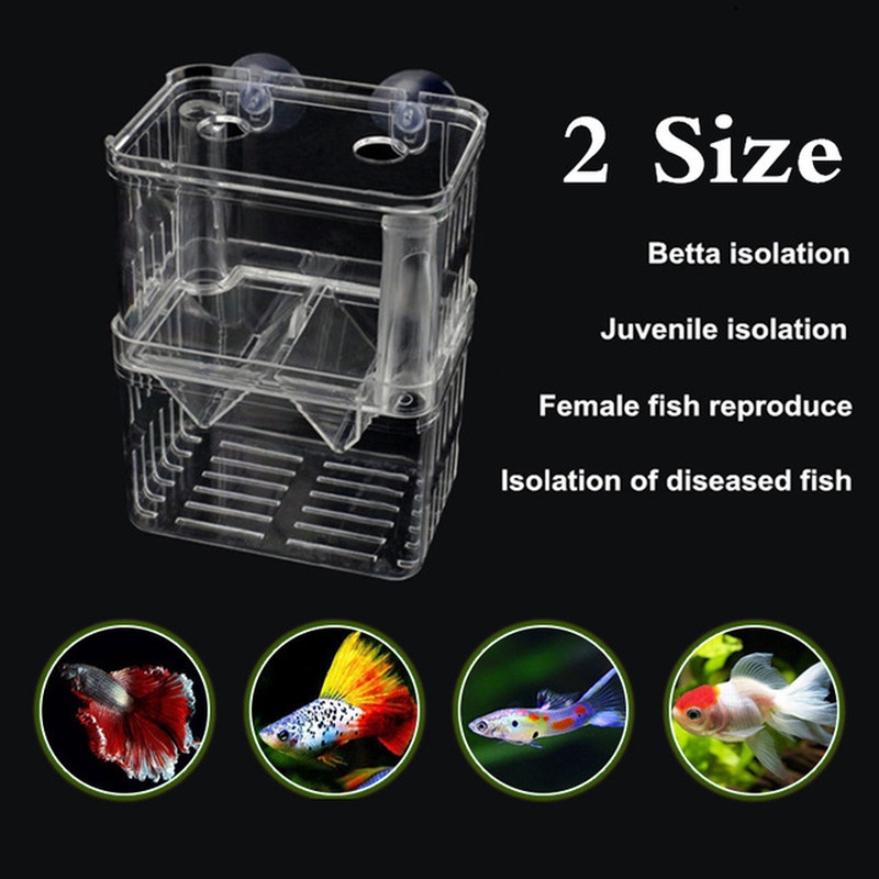 2 Size Acrylic Aquarium Floating Breeding Box Double Layers Guppy Betta ...