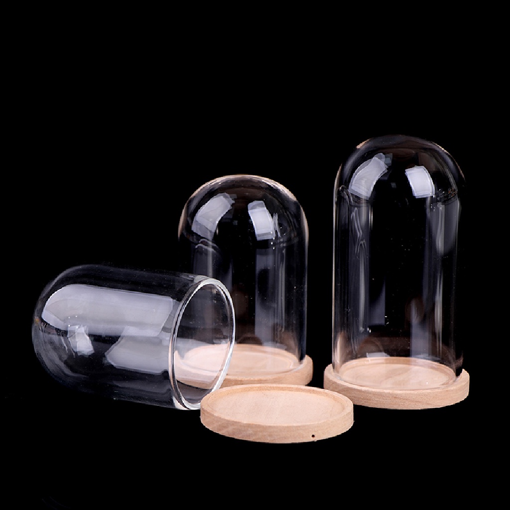 [Pine] 1:12 Dollhouse Miniature Decor Flower Display Glass Display Bell ...