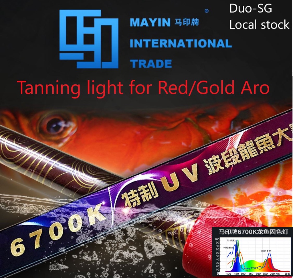 🔥Mayin authorized SG seller🔥Mayin fish light tanning light 13000k/2700k ...