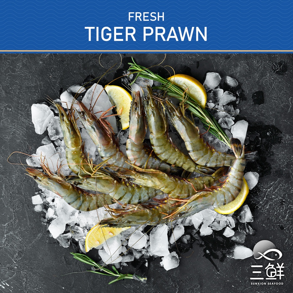 Fresh Tiger Prawn 1KG | Shopee Singapore