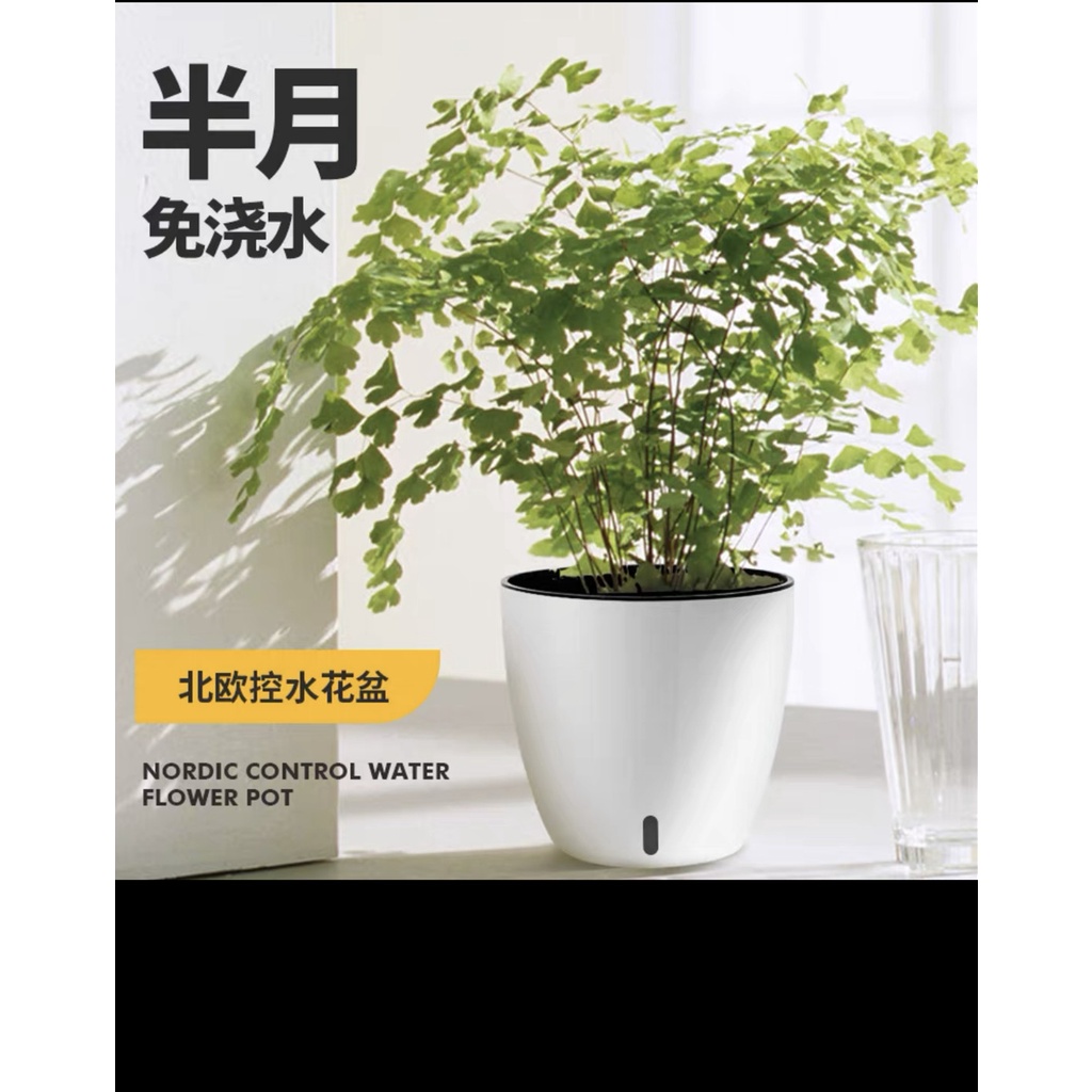 Self Watering Pot with view window | Shopee Singapore