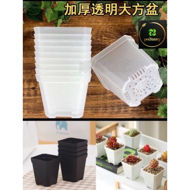 Thicken Plastic Flower Pot 10pcs Translucent White Black Square Flower ...