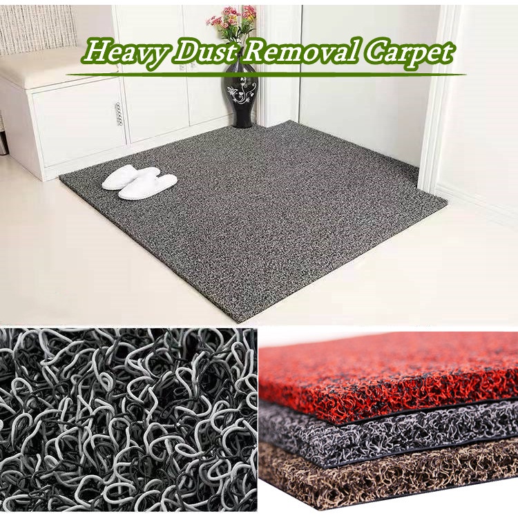 Custom Heavy dust removal Entrance carpet Car mat Anti-slip Floor pad ...