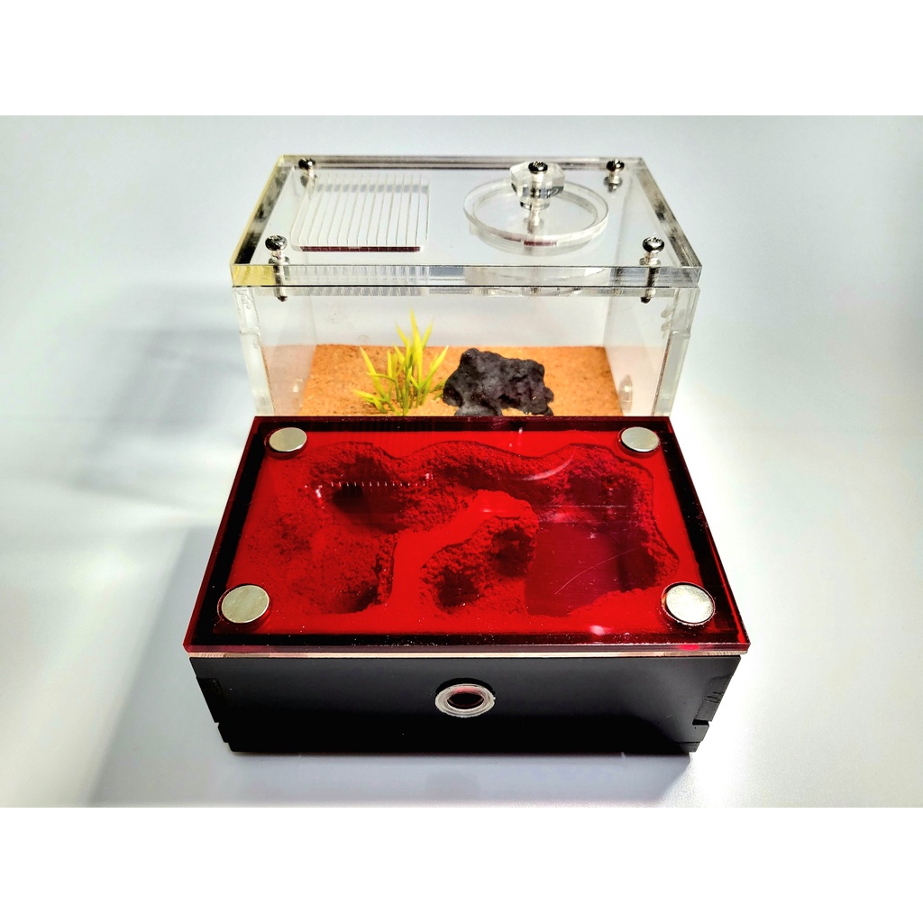 A Solid Formicarium -Ant Keeping Ant Formicarium Ant Outworld Ant Farm Ant Hill Ant Cage The Ant ...