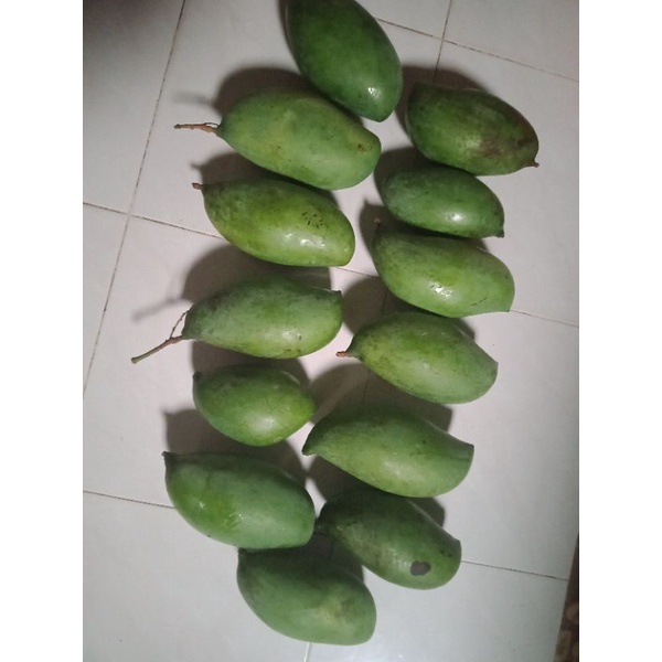Fragile Fruit | Young Mango (Limited Stock) | Shopee Singapore