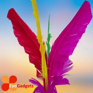EvoGadgets Traditional Games in - Capteh Chapteh / Sepak Bulu Ayam ...
