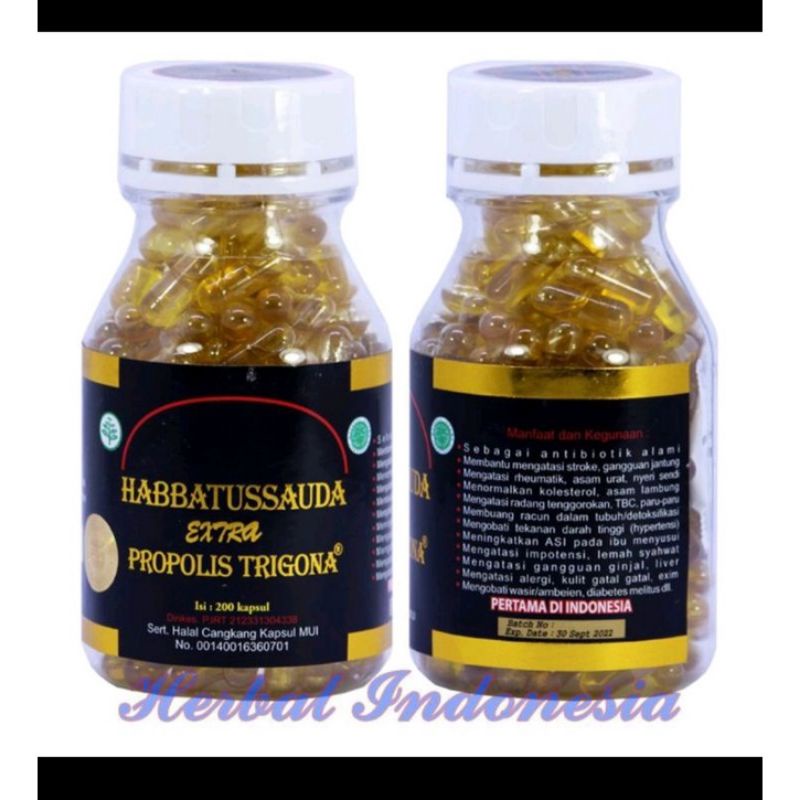 Habatus SAUDA EXTRA PROPOLIS TRIGONA Contains 100 Capsules And 200 ...