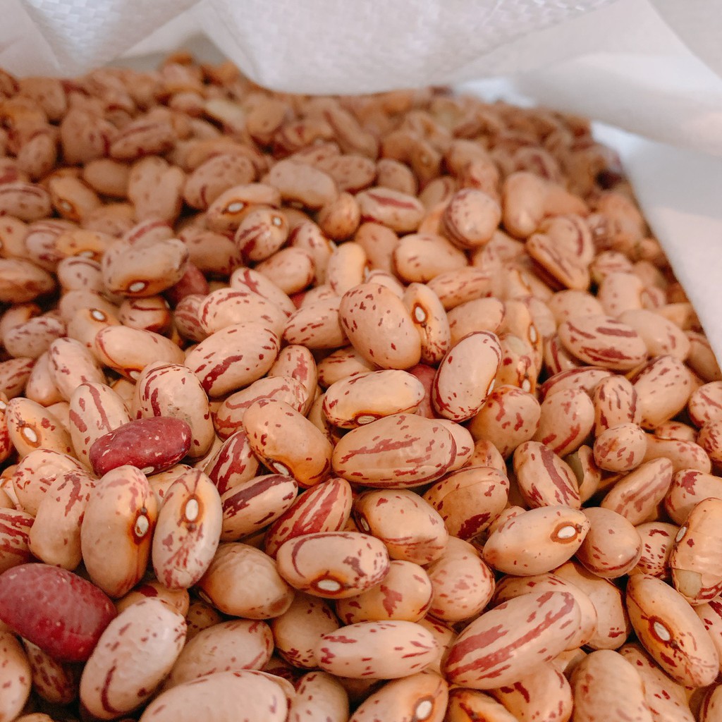 Flower Bean 0.5kg 600g If Need To Be Packed Separately Order Remarks ...