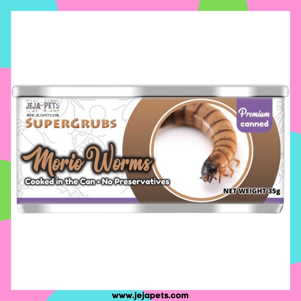 Supergrubs Canned Morio Worms (Super Worms) - 35g | Shopee Singapore