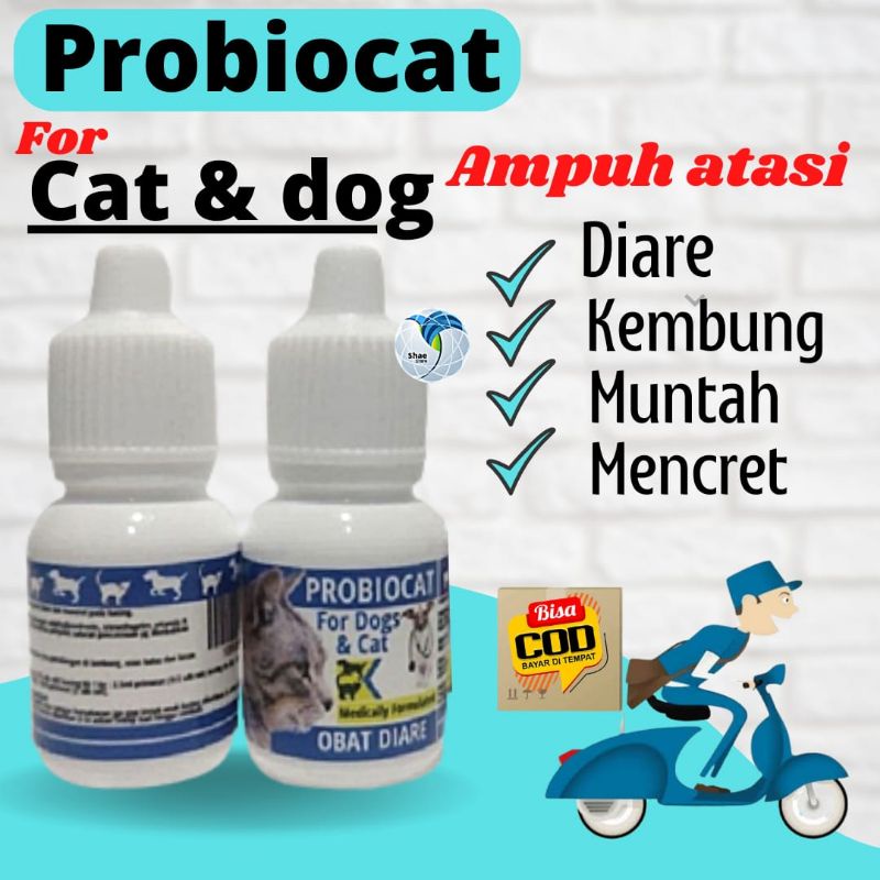 Cat Medicine For Digestive Disorder Diarrhea Diarrhea Digestive ...