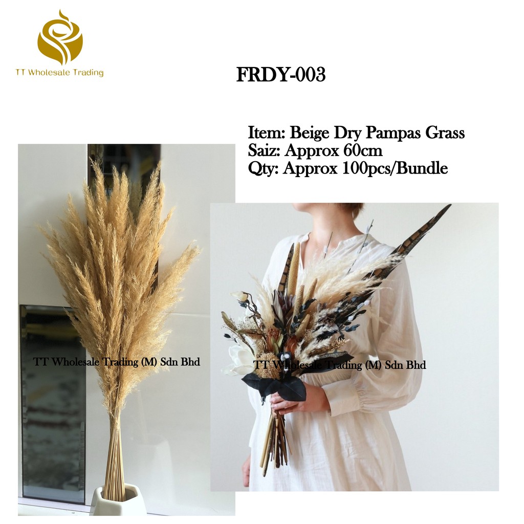 Dried Natural Beige Pampas Grass-Malaysia | Shopee Singapore