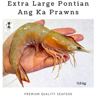 prawn - Prices and Deals - Mar 2024 | Shopee Singapore