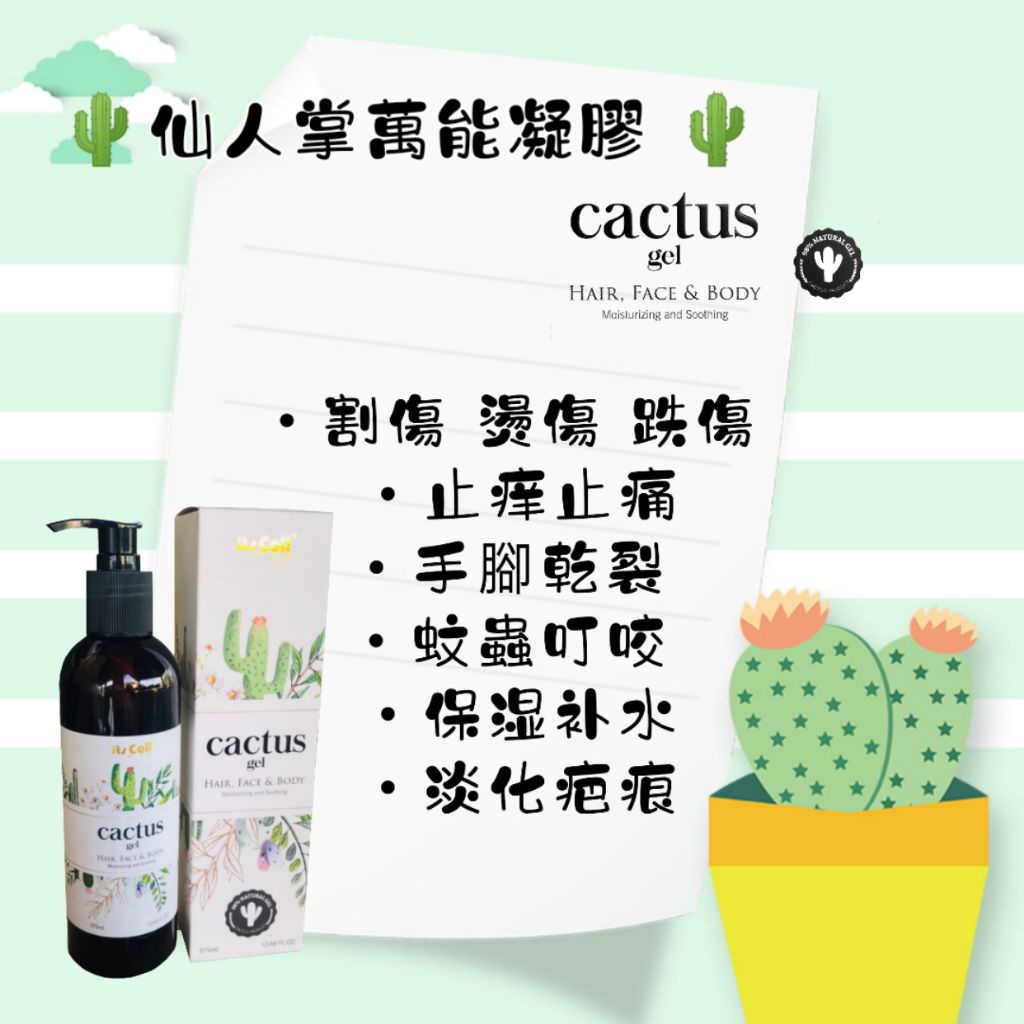 Cactus Gel by itsColl (Exp:06/26) | Shopee Singapore