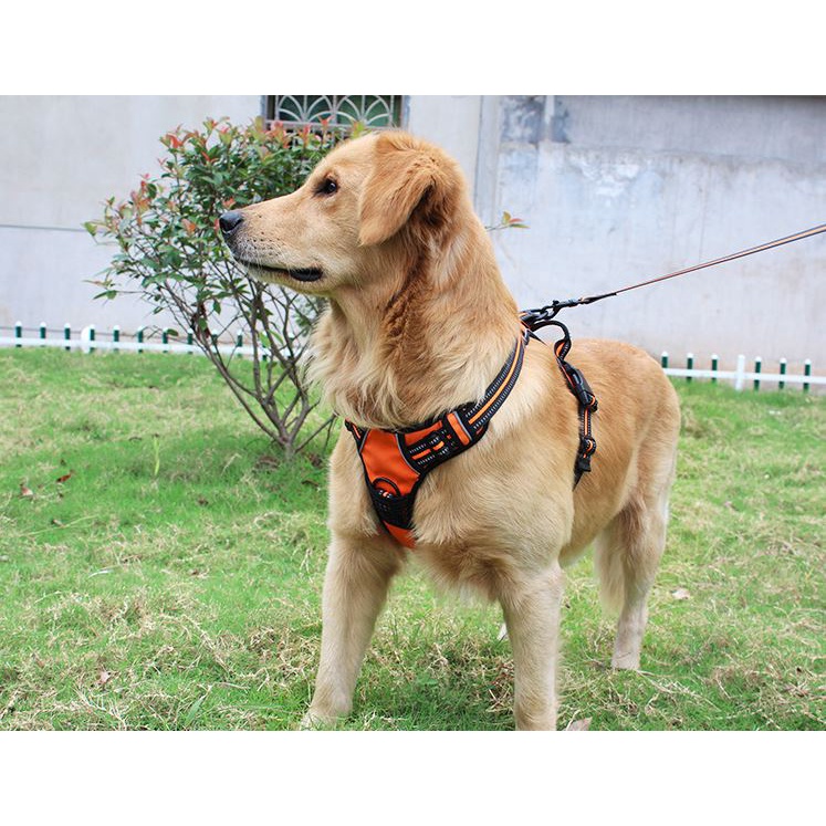 Adjustable Dog Harness - No-Pull Safety Harness with Front and Back ...