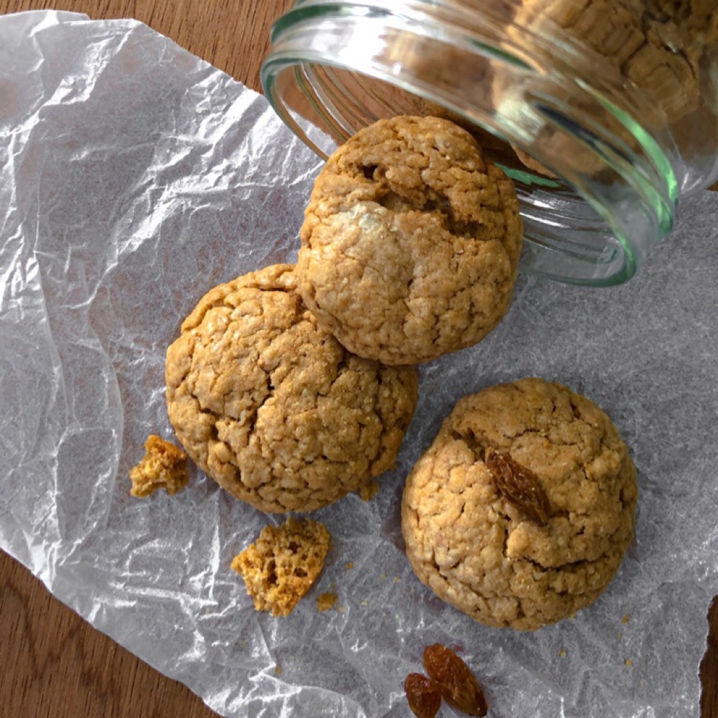 Oatmeal & Golden Raisin Cookie - 1KG [HALAL] | Shopee Singapore