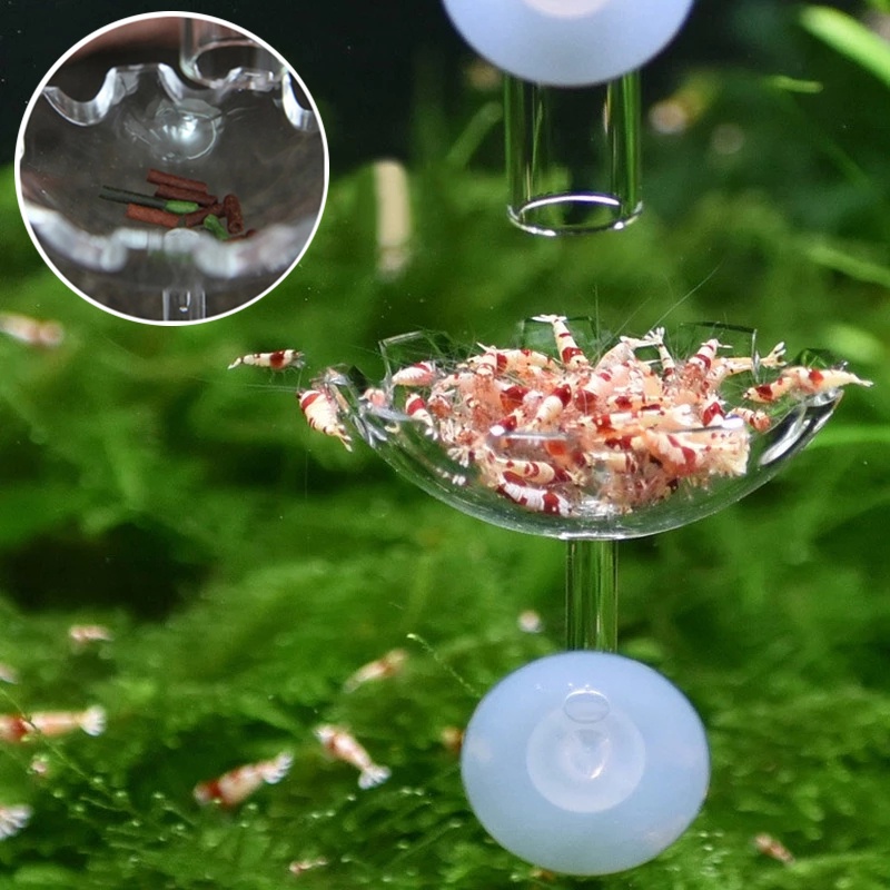 Acrylic Fish Tank Shrimp Food Feeder Hanging Aquarium Shrimp Feeding ...