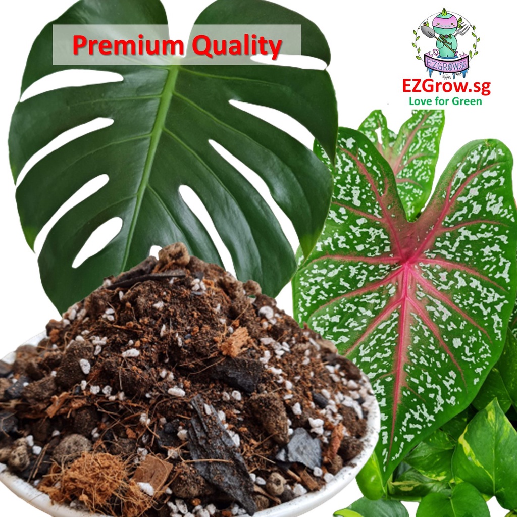 Monstera Aroid Special Mix Houseplant Indoor Plant Soil Mix | Shopee ...