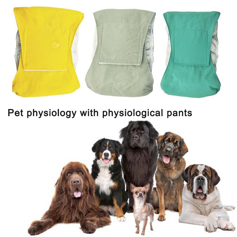 [SY] Reusable Male Pet Dog Nappy Pants Simple Menstrual Sanitary Diaper ...