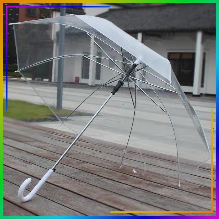 Transparent Cell / Long Rolled Rain Umbrella With Handle (With CATA ...