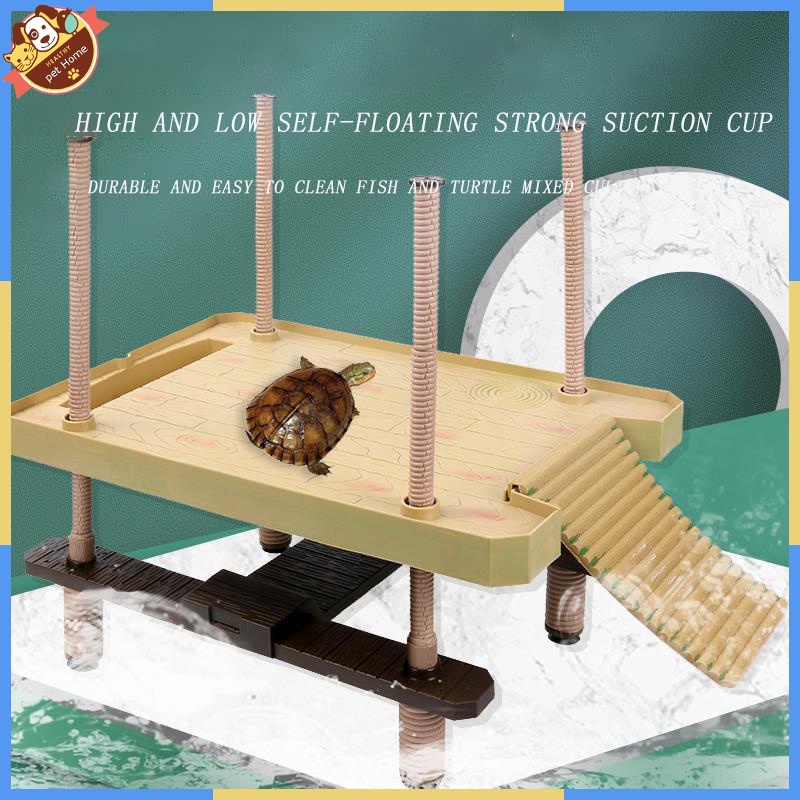 Turtle Drying Platform Climbing Platform Tortoise Brazilian Turtle