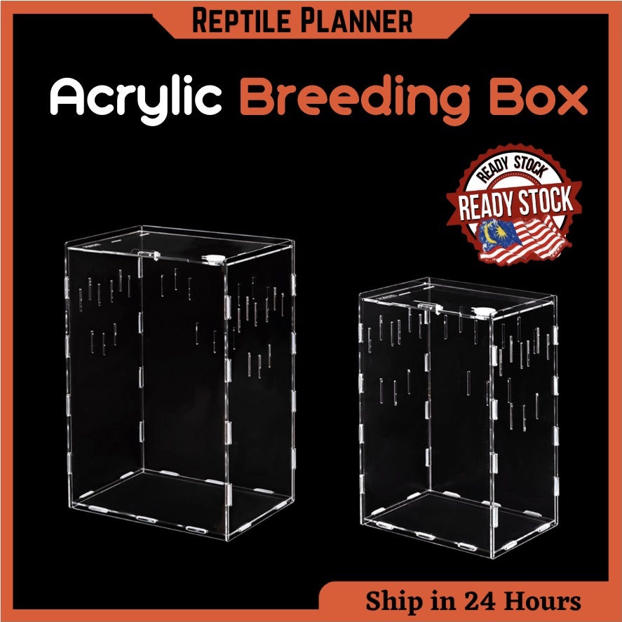 Reptile Acrylic Feeding Box Breeding Habitat Snake Spider Lizard ...