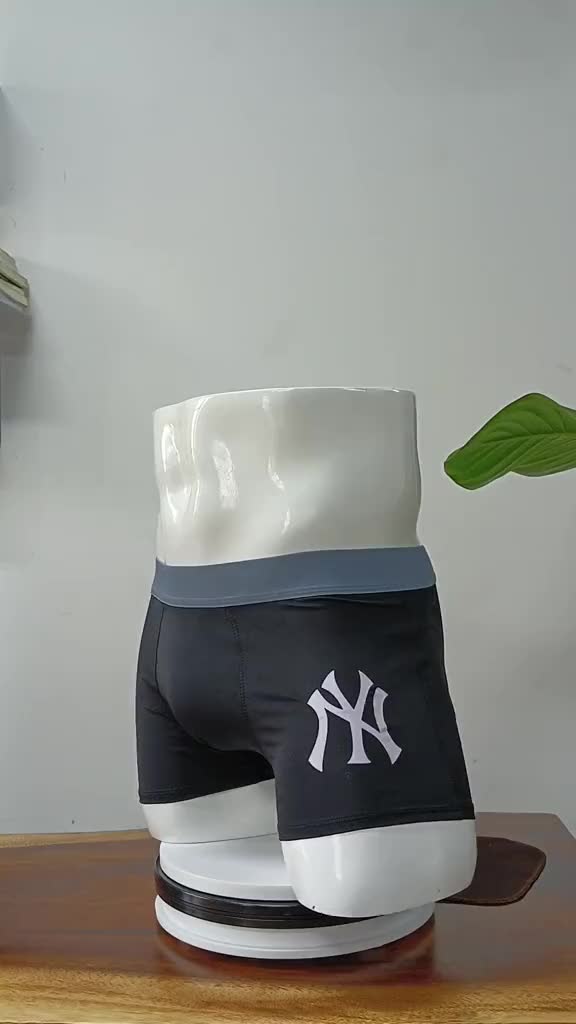 Box of 5 high-quality men's briefs, genuine NY boxer briefs for men in ...