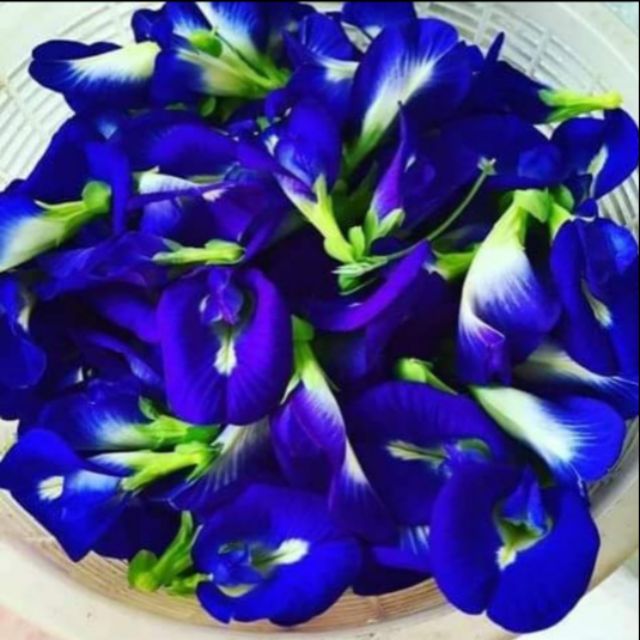 BUNGA TELANG(kering) 碟豆花,蓝花(干的) BUTTERFLY PEA FLOWER(dried) 50G/275G ...