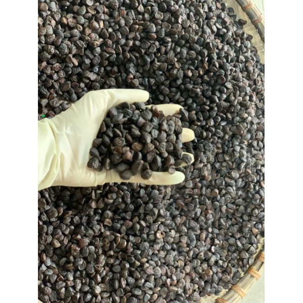 Ginny guava seeds (100gr) | Shopee Singapore