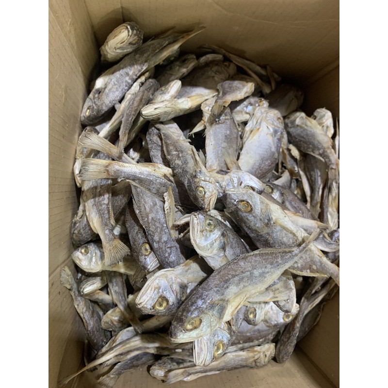 Masin gelama Fish (500gram) | Shopee Singapore