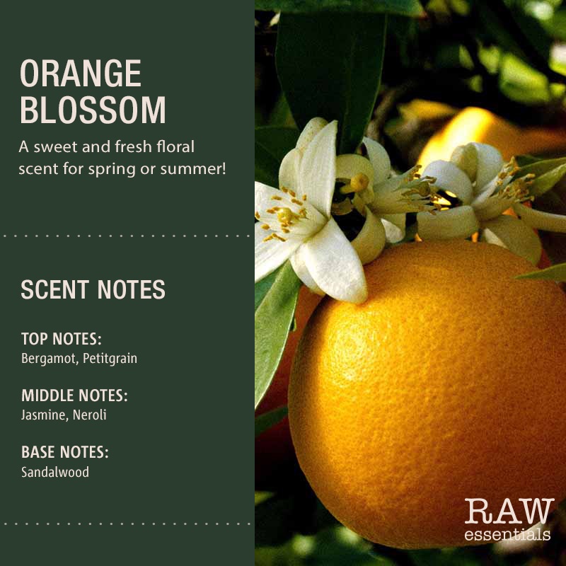 Orange Blossom Fragrance Oil | Shopee Singapore