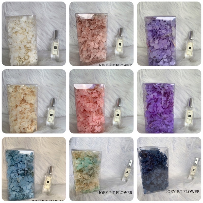 [SG READY STOCKS] Preserved Flower Wholesaler: Grade B Preserved Ana ...