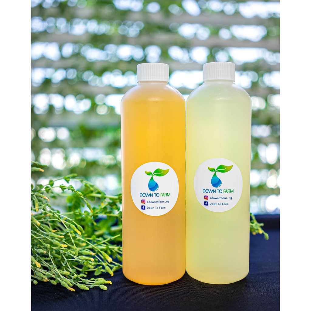 Hydroponic nutrient solution AB for veggies & herbs (500ml and 2 Litres ... Hydroponic nutrient solution AB for veggies & herbs (500ml and 2 Litres ...