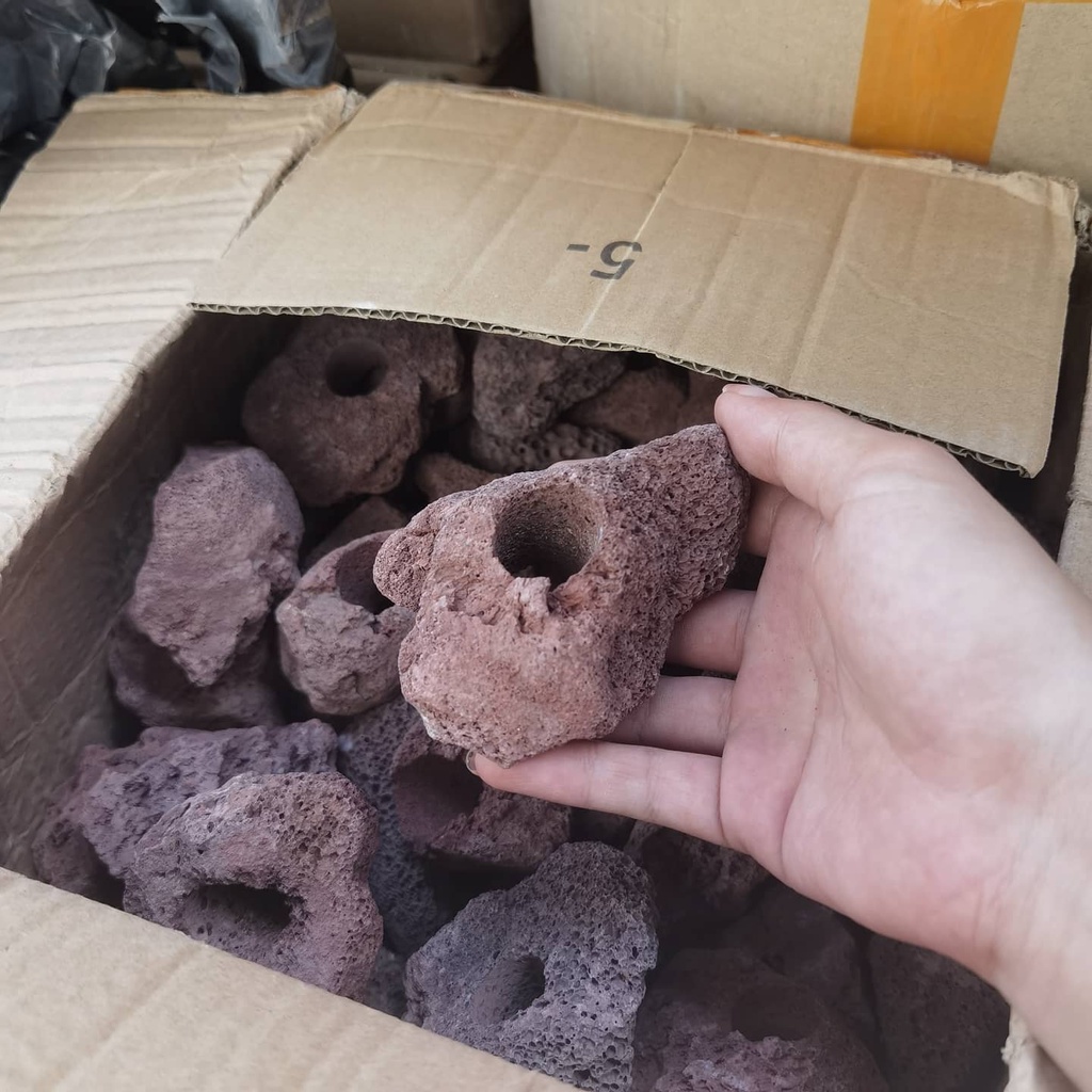 Lava Rock Water Plant Weight Ring Red Lava Stone Planting Ring ...