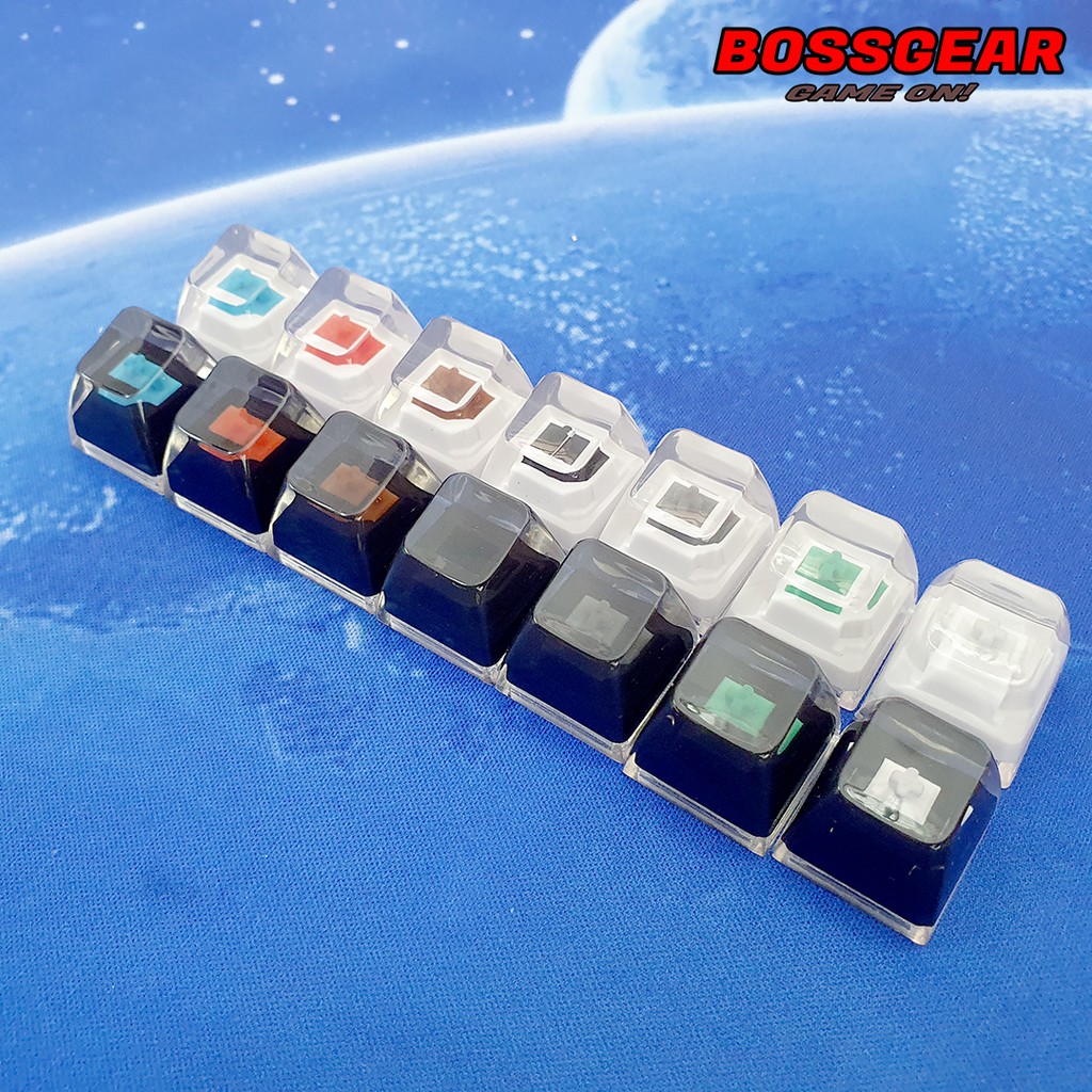 Switch SA Profile Transparent Odd Keycap. Artisan Keycap through LED ...