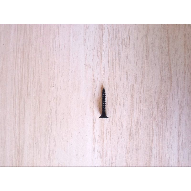 PVC Ceiling Screws Gypsum Screws 1 kg | Shopee Singapore