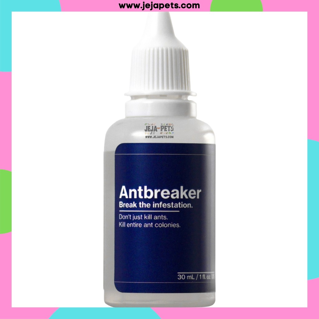 Antbreaker Borax Based Ant Killer (Eradicates The Entire Colony) PET ...