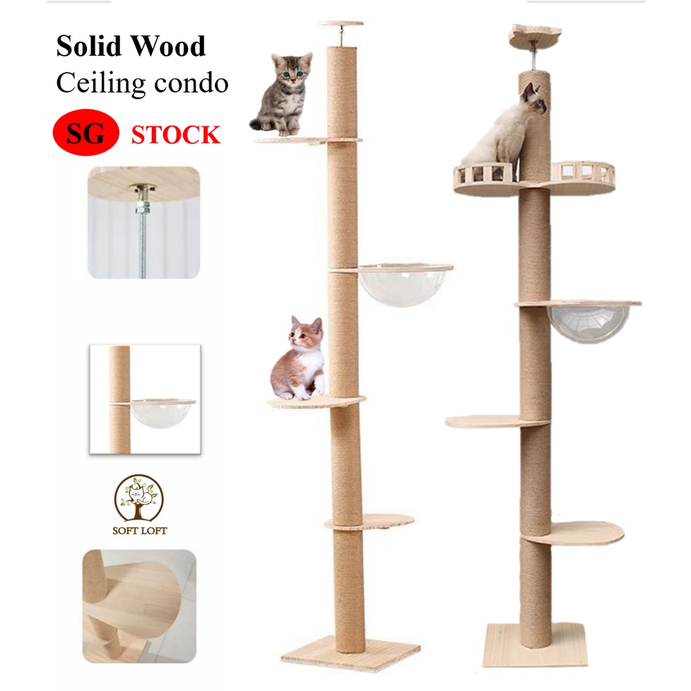 cat condo house Pet Ceiling condo DIY Floor-to-Solid wood Ceiling Cat ...