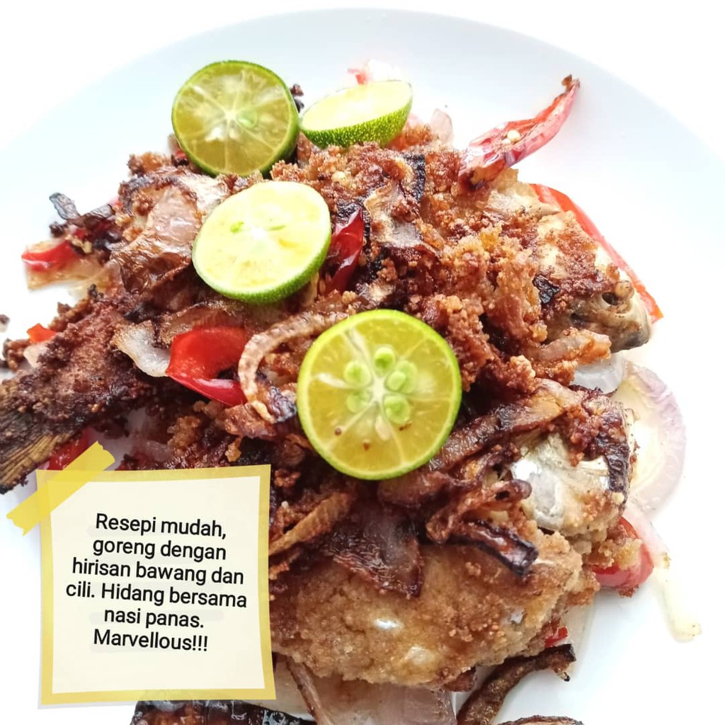 Original Speed Side (SEPAT Fish) | Shopee Singapore