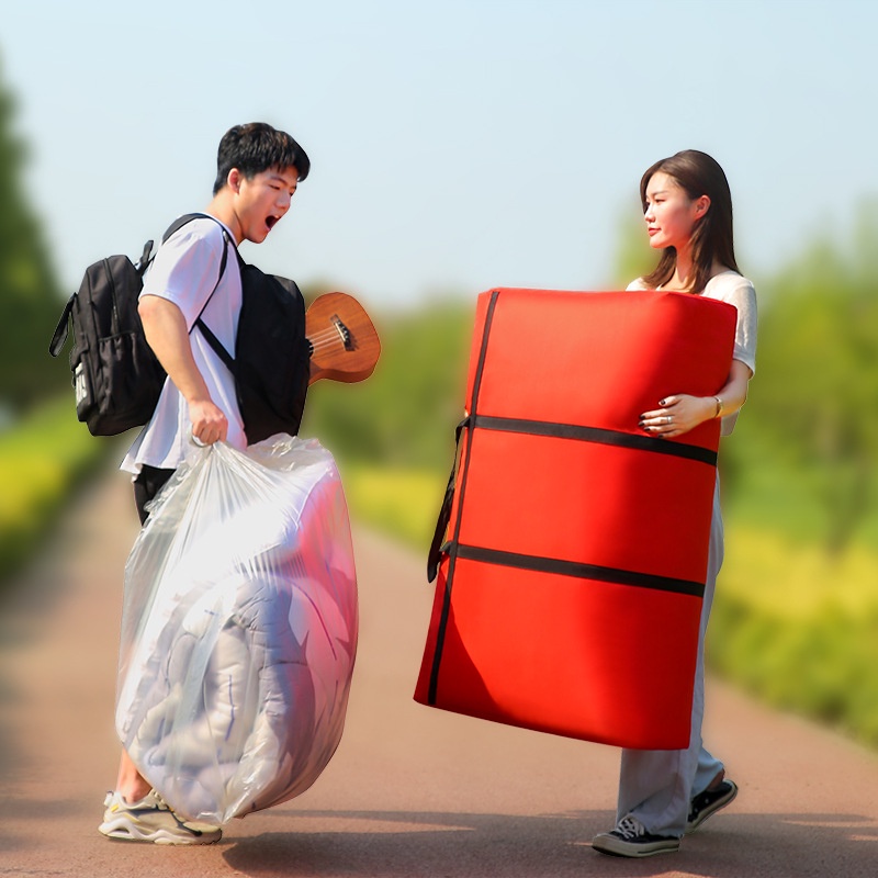 [SG] House Moving Bag/ Extra Large Canvas Bag/ Home Storage Bag ...