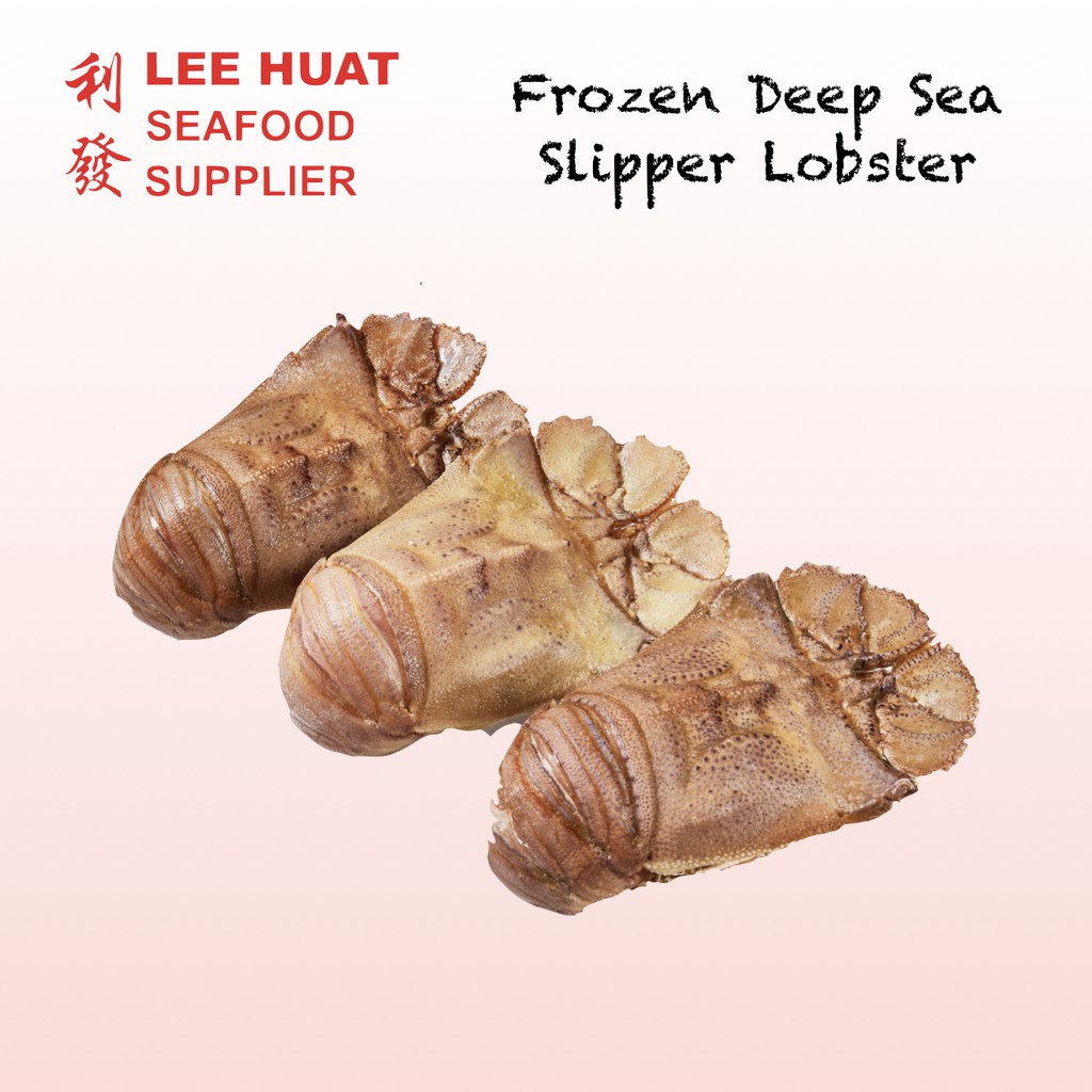 [LHSS/Lee Huat Seafood] Frozen Deep Sea Slipper Lobster/Crayfish 深海虾婆 1 ...