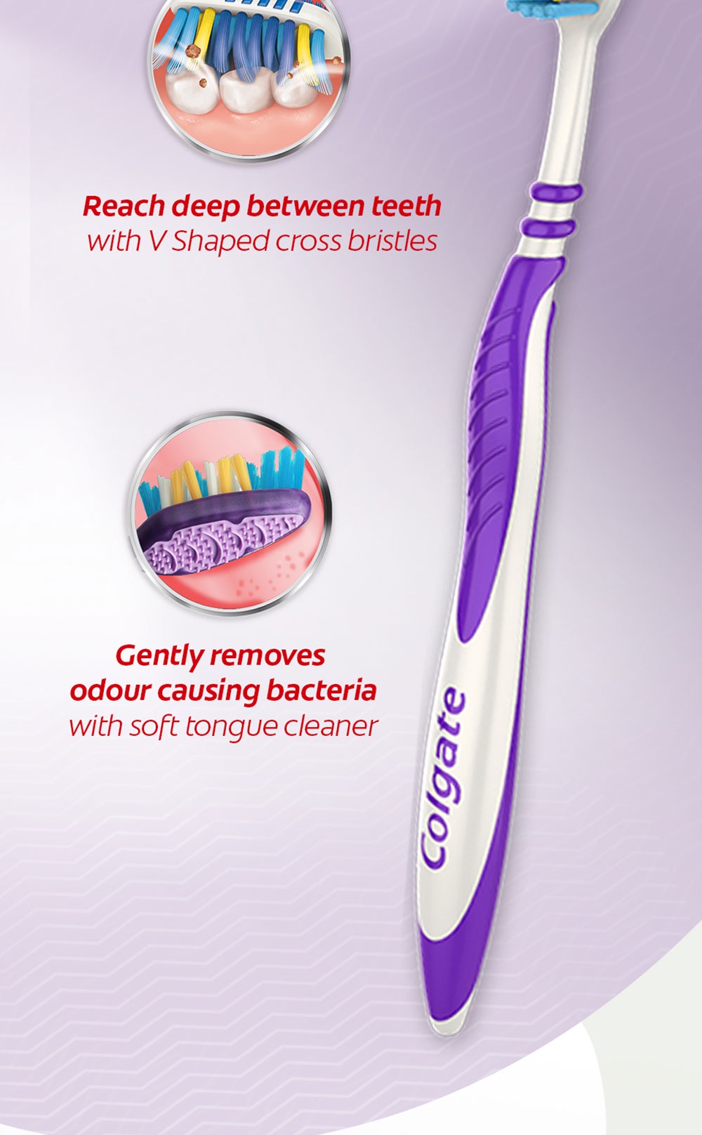 Colgate ZigZag Toothbrush Valuepack 5s (Soft) | Shopee Singapore